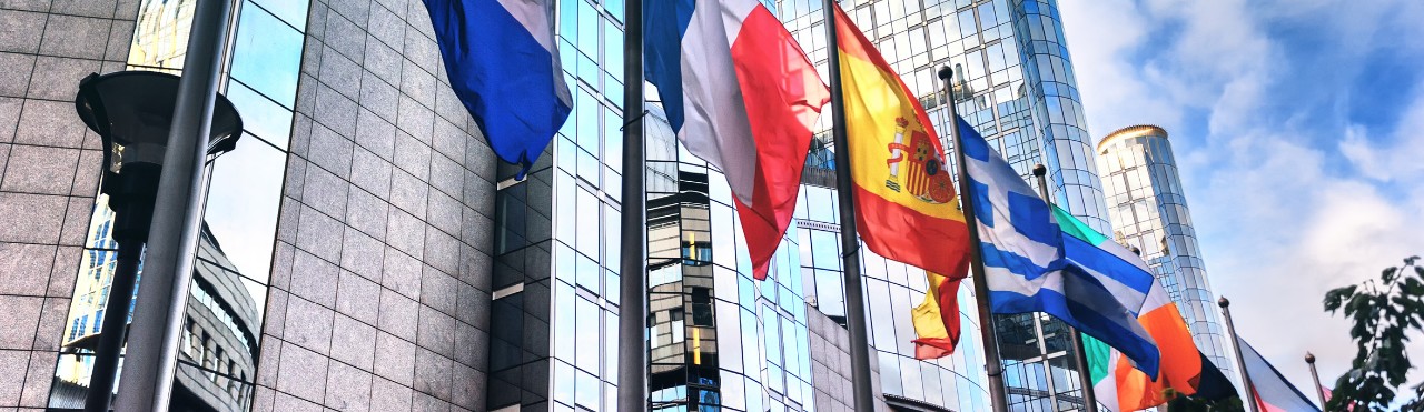 What Do We Need a World Trade Organization For? | AIG Global Trade Series