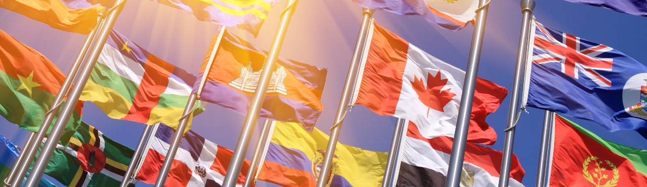 The Role of Middle Powers in moving global trade forward | AIG Global ...