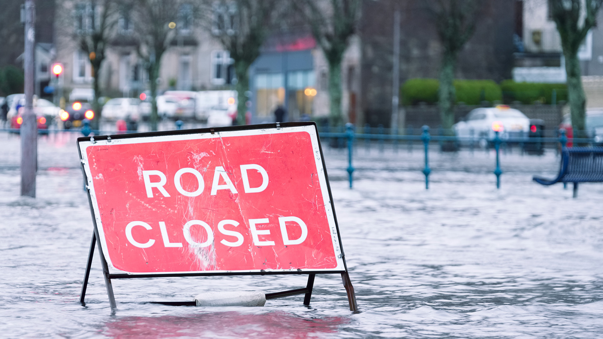 AIG Academy on Demand | AIG UK